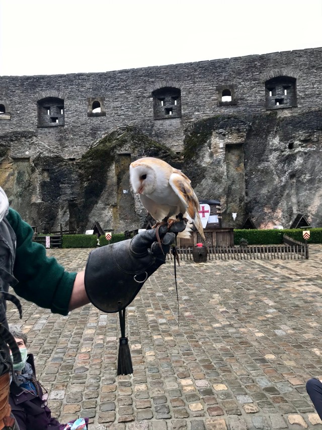 7 trips to do with kids in and around Dinant, Belgium – Travel Tales ...